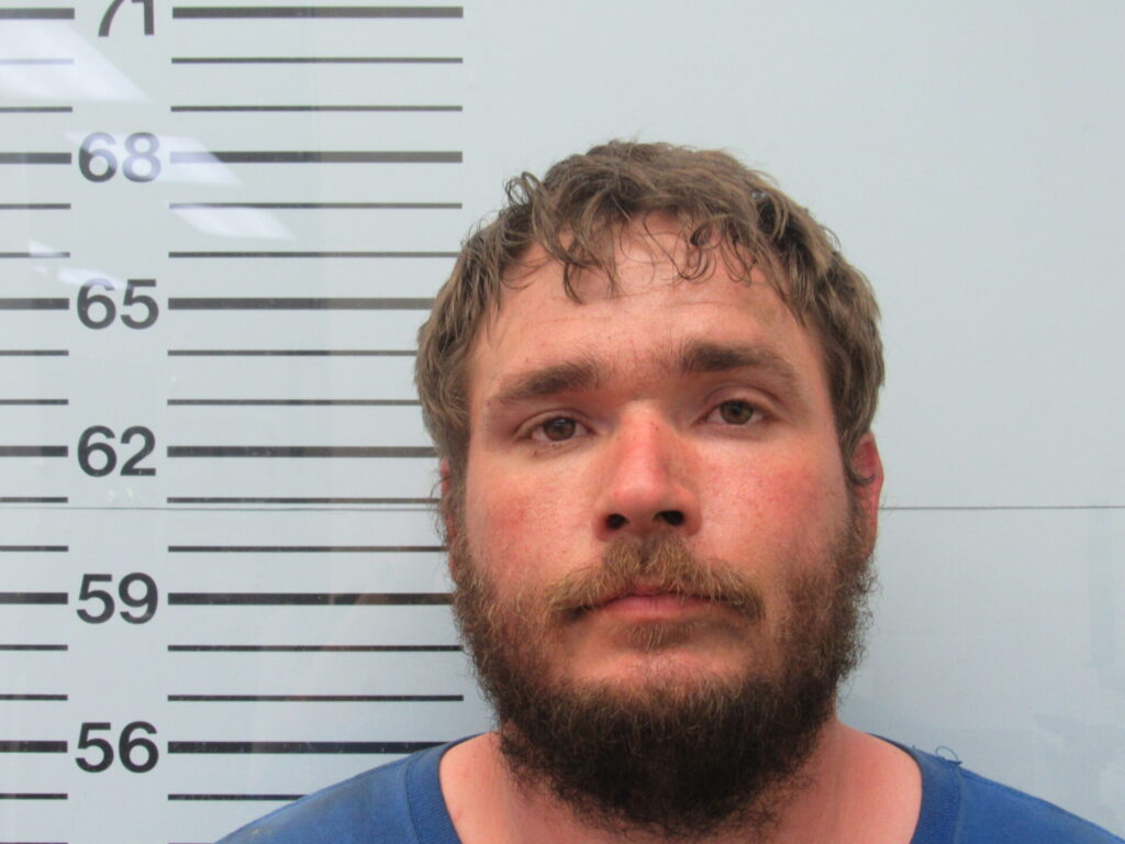 Two Charged with Grand Theft in Unrelated Cases - HottyToddy.com - Ole ...