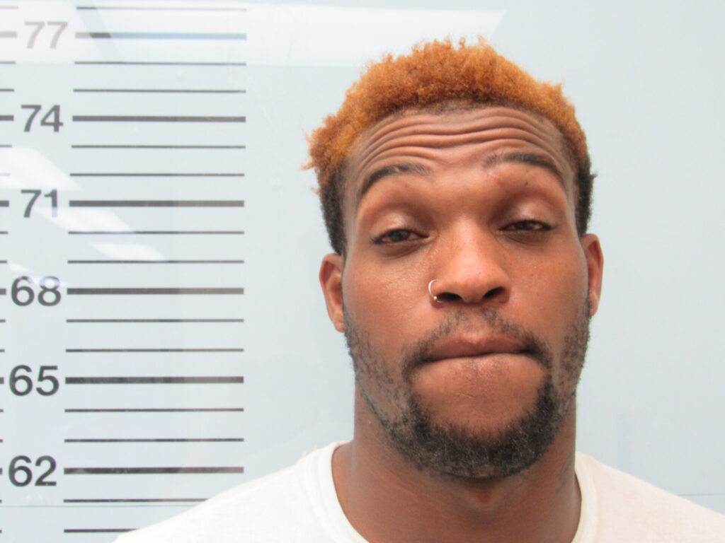 Two Charged with Grand Theft in Unrelated Cases - HottyToddy.com - Ole ...